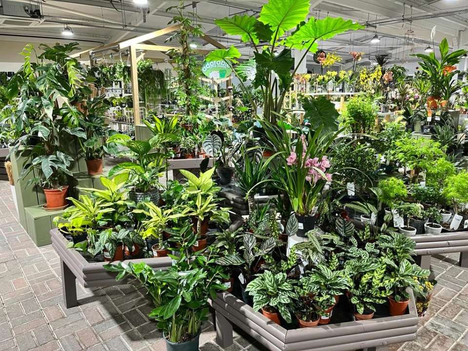 Betchworth Centre - Our Two Centres - Knights Garden Centres