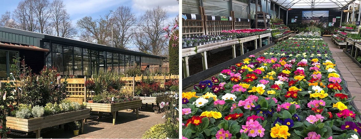 Garden Centre near Oxted - Knights Garden Centres