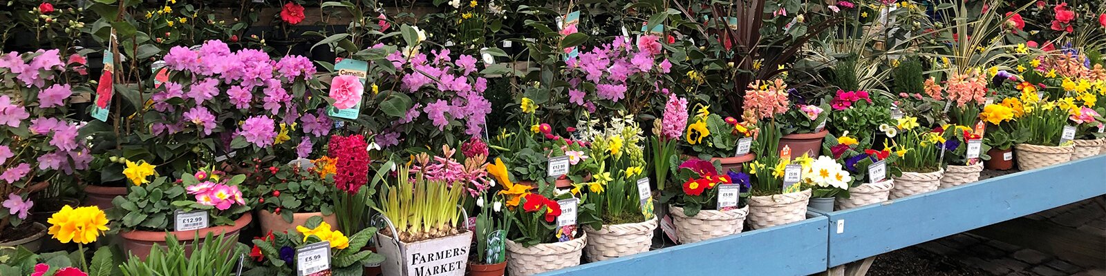 Knight Garden Centres | United Kingdom