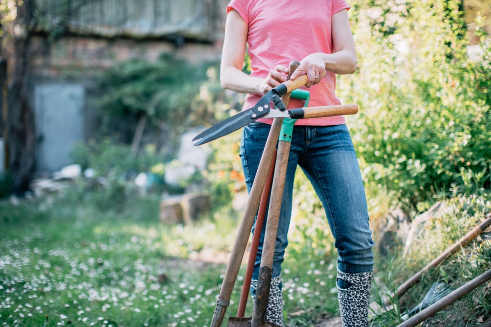 6 low-cost garden makeover tips - Knights Garden Centres