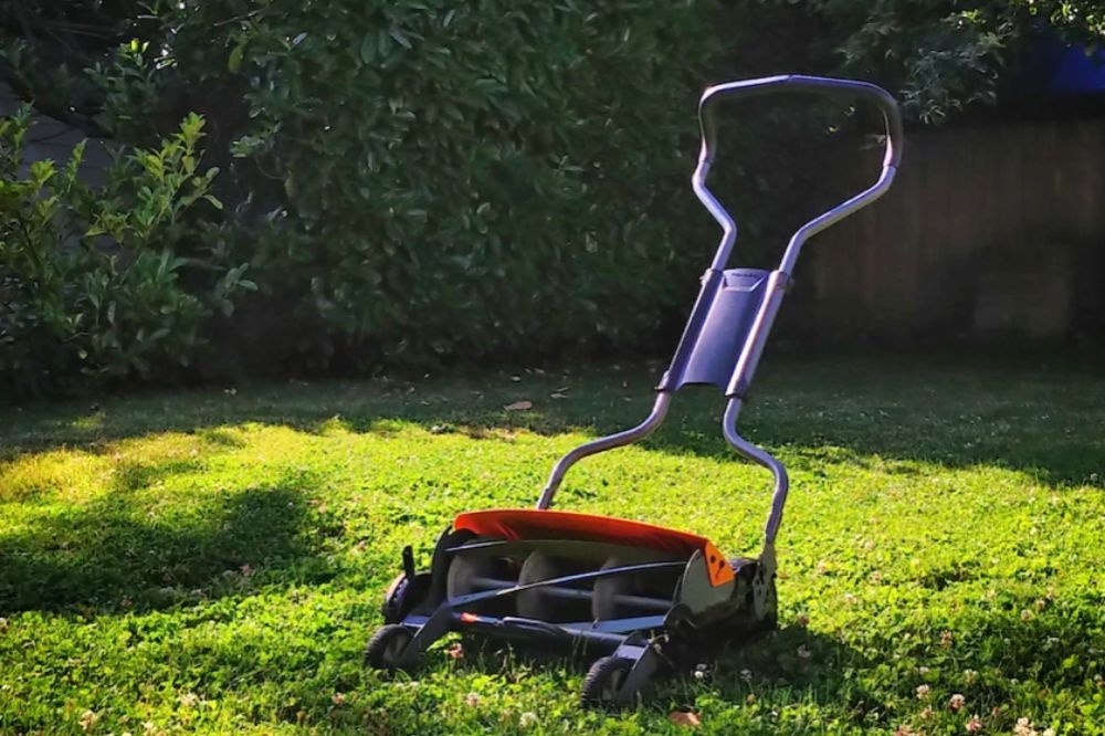 How and when to overseed your lawn - Knights Garden Centres