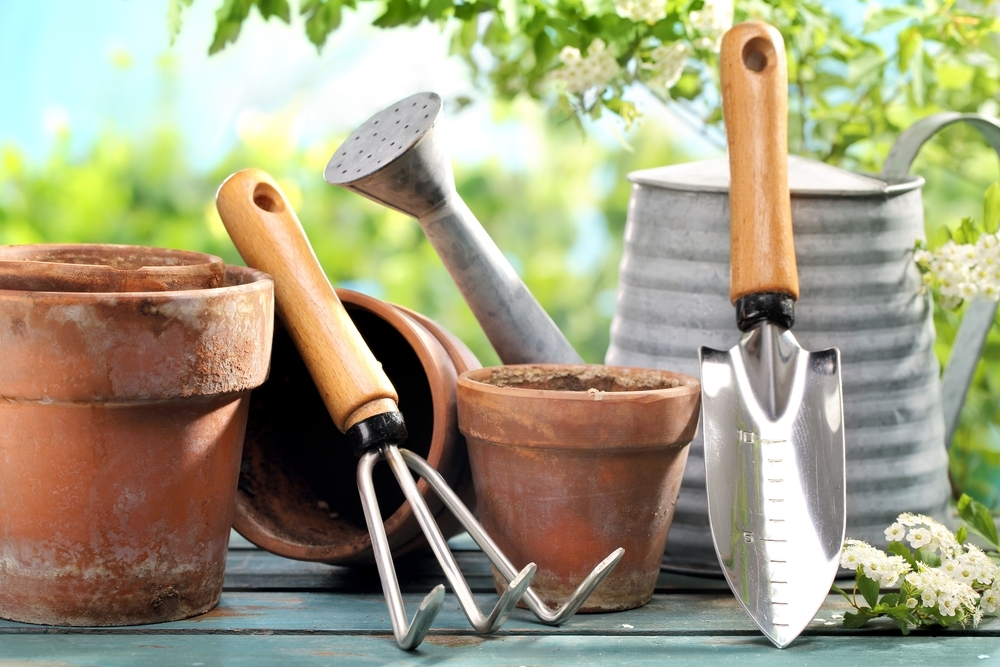 How to choose the right garden tools - Knights Garden Centres