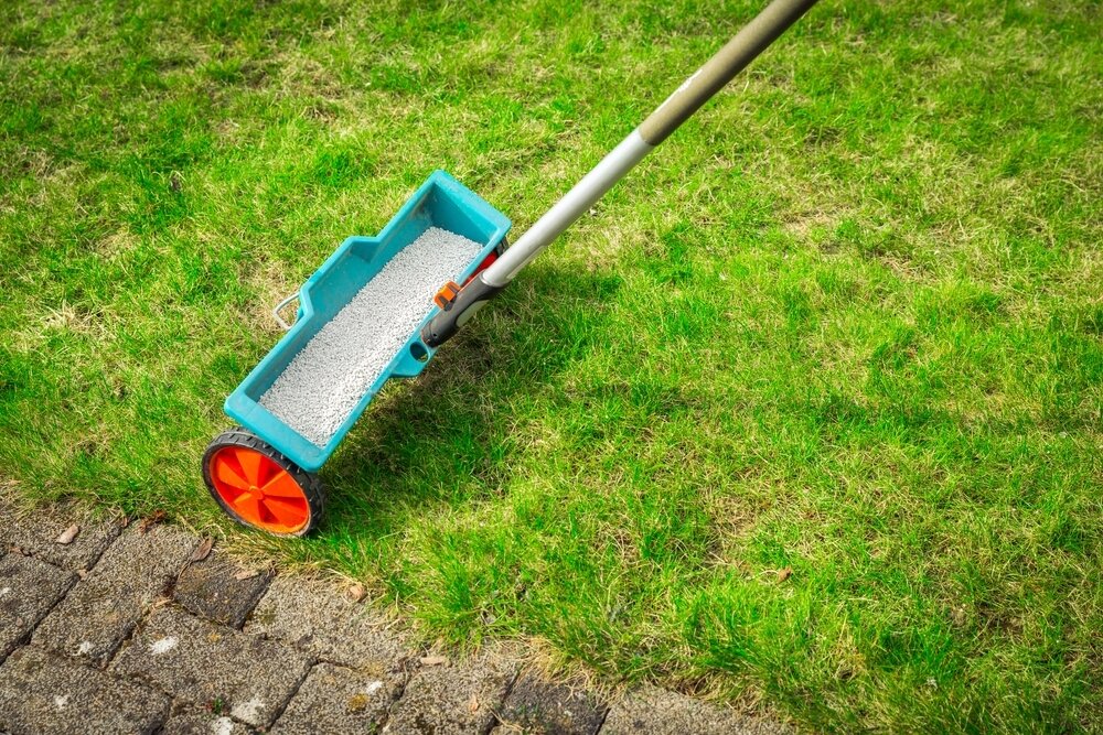 How to fertilise your lawn in 4 steps - Knights Garden Centres