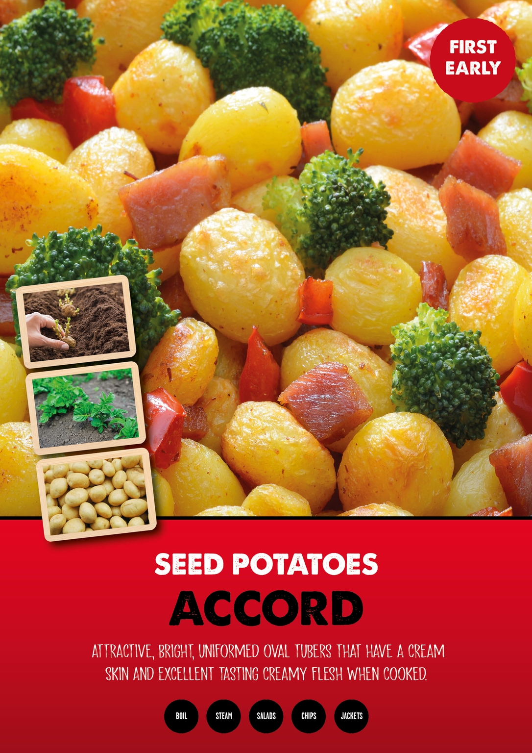 Accord 2kg bag - Knights Garden Centres