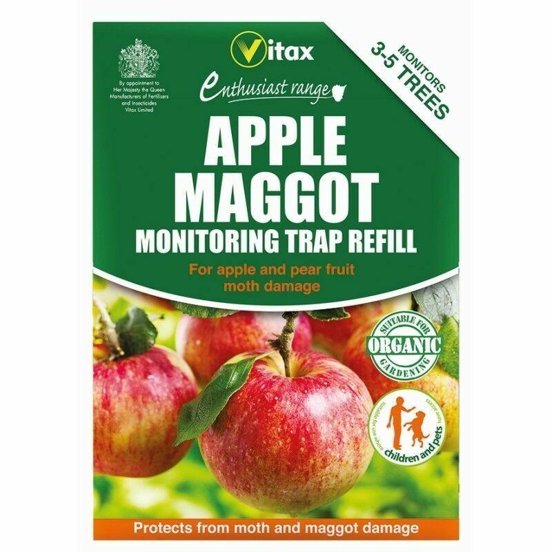 Apple Maggot Monitoring Trap - Knights Garden Centres