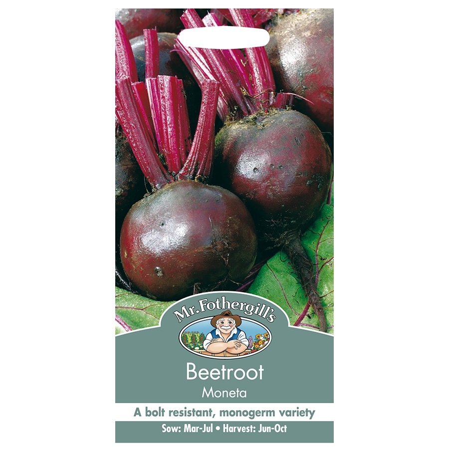 Beetroot Seeds Moneta - Knights Garden Centres