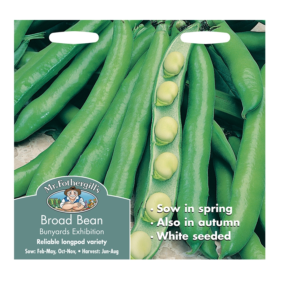 Broad Bean Seeds Bunyards Exhibition - Knights Garden Centres
