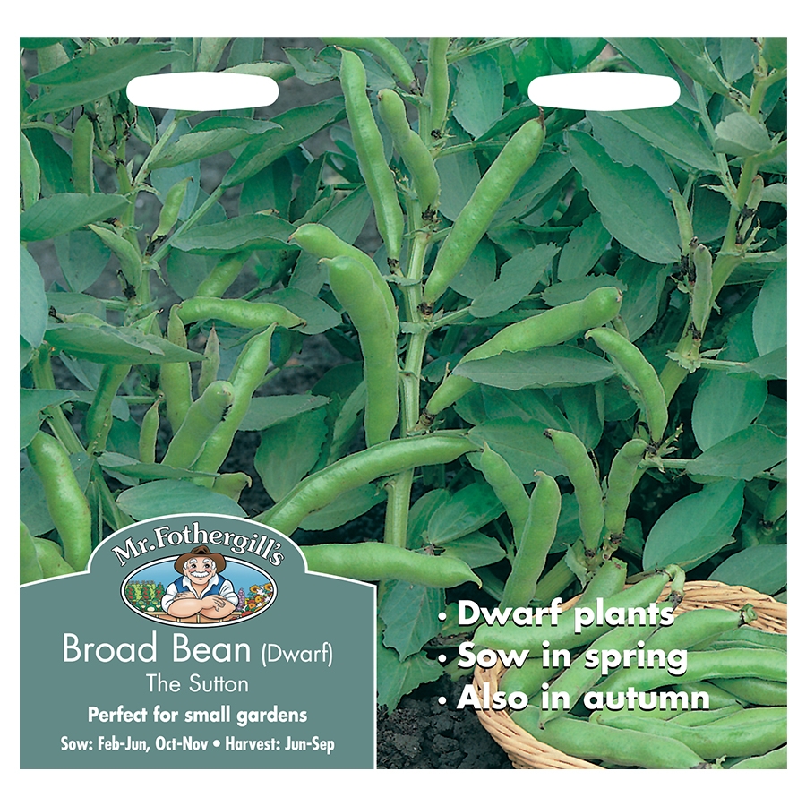 Broad Bean Seeds The Sutton (Dwarf) - Knights Garden Centres