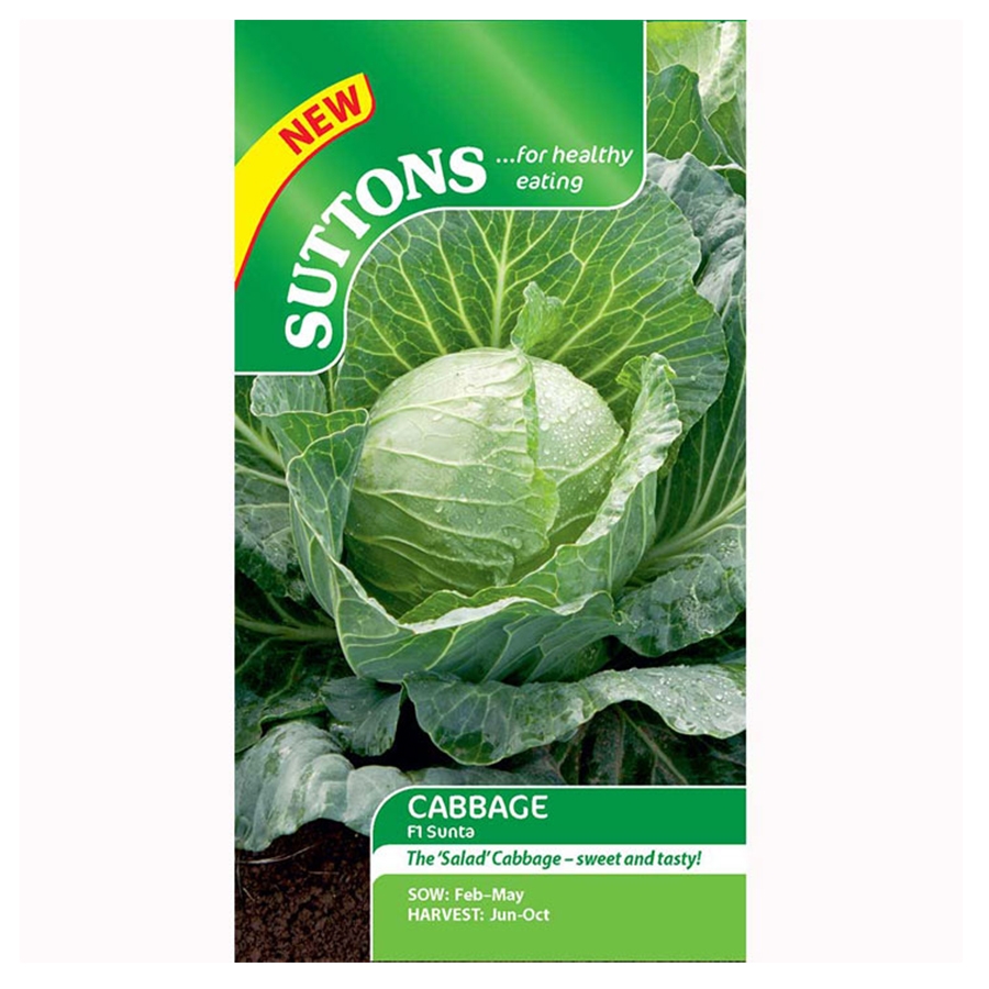Cabbage Seeds F1 Sunta - Knights Garden Centres