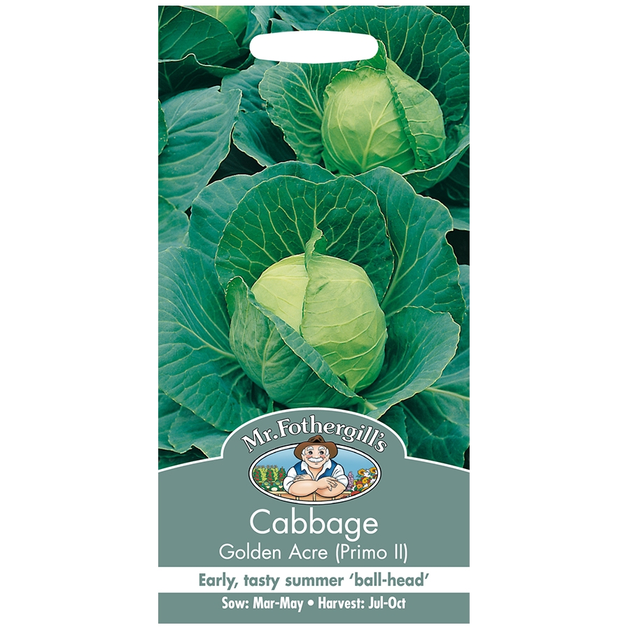 Cabbage Seeds Golden Acre (Primo II) - Knights Garden Centres