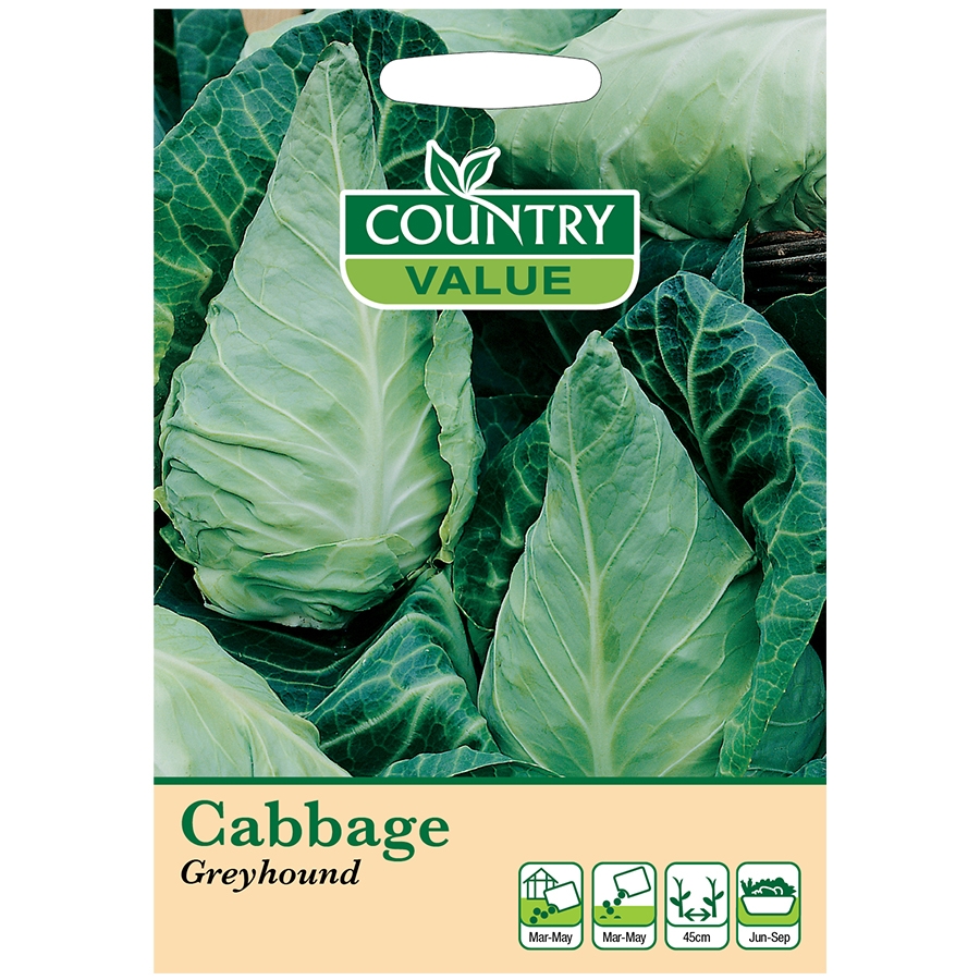 Cabbage Seeds Greyhound - Knights Garden Centres