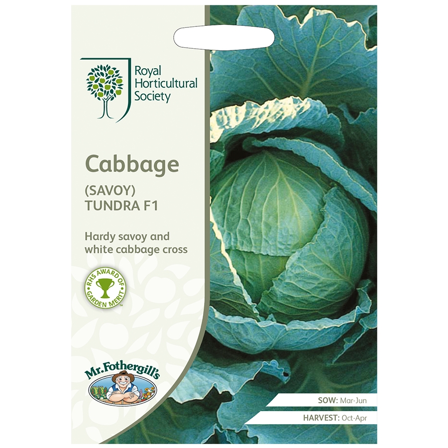 Cabbage Seeds RHS (Savoy) Tundra F1 - Knights Garden Centres