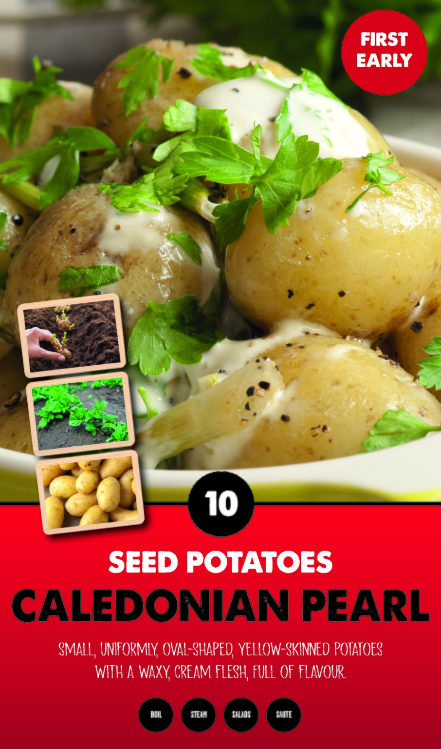 Caledonian Pearl Taster Pack - Knights Garden Centres