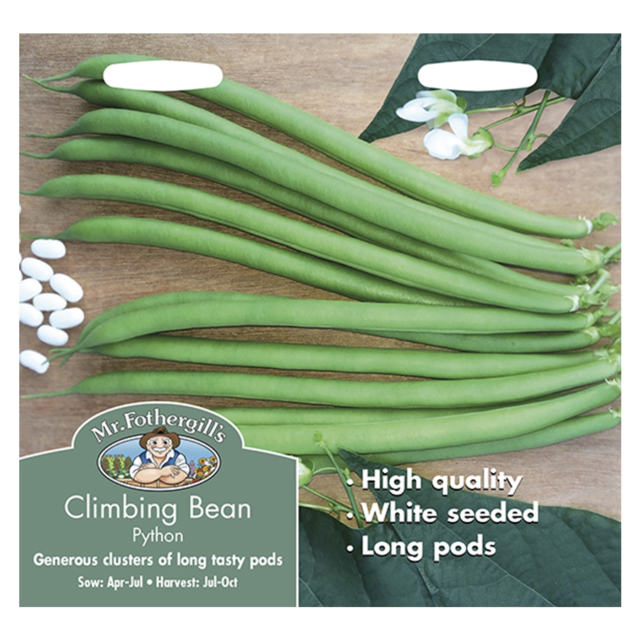 Climbing French Bean Seeds Python - Knights Garden Centres
