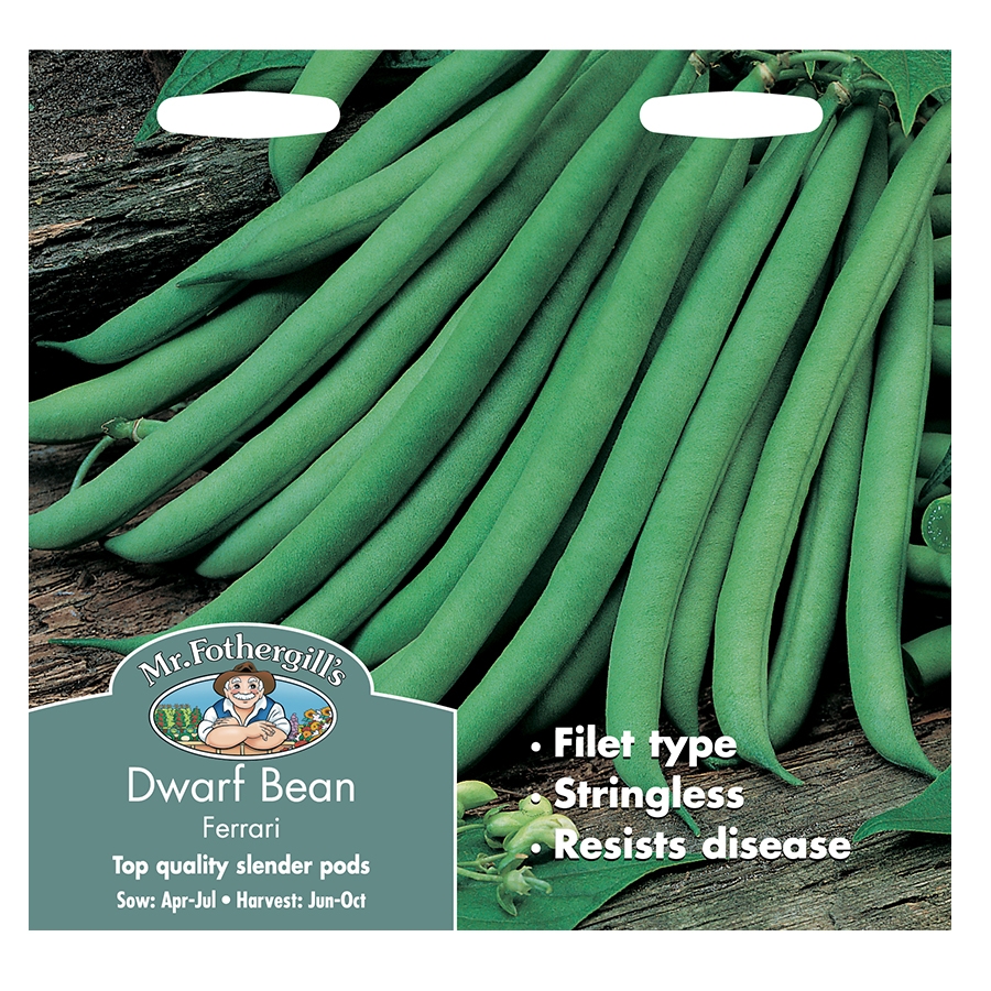 Dwarf French Bean Seeds Ferrari - Knights Garden Centres