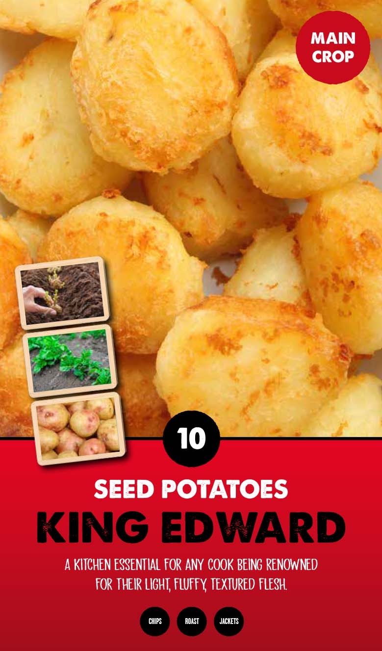 King Edward Taster Pack - Knights Garden Centres