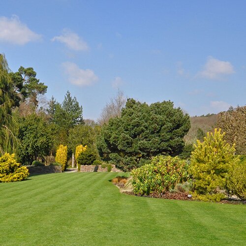 Lawn Care - Knights Garden Centres