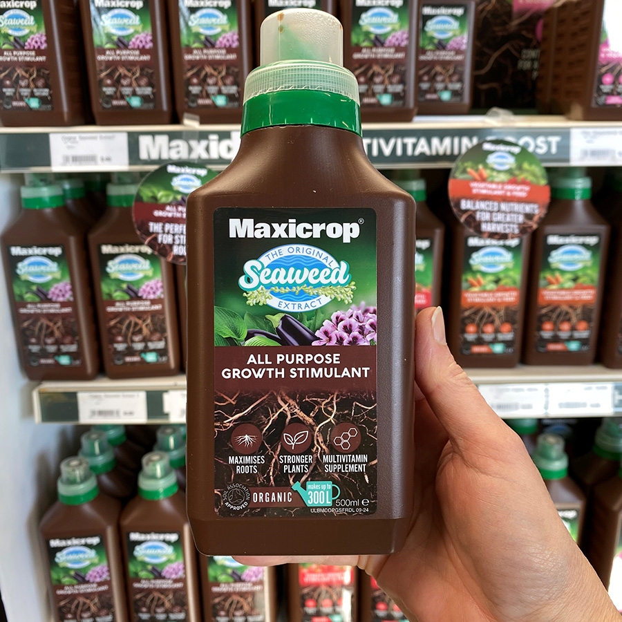 Maxicrop Original Seaweed Extract 500ml - Knights Garden Centres
