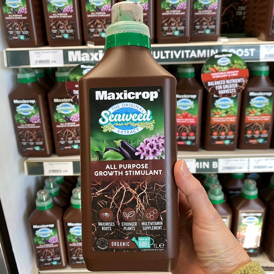 Maxicrop Original Seaweed Extract 1 litre - Knights Garden Centres