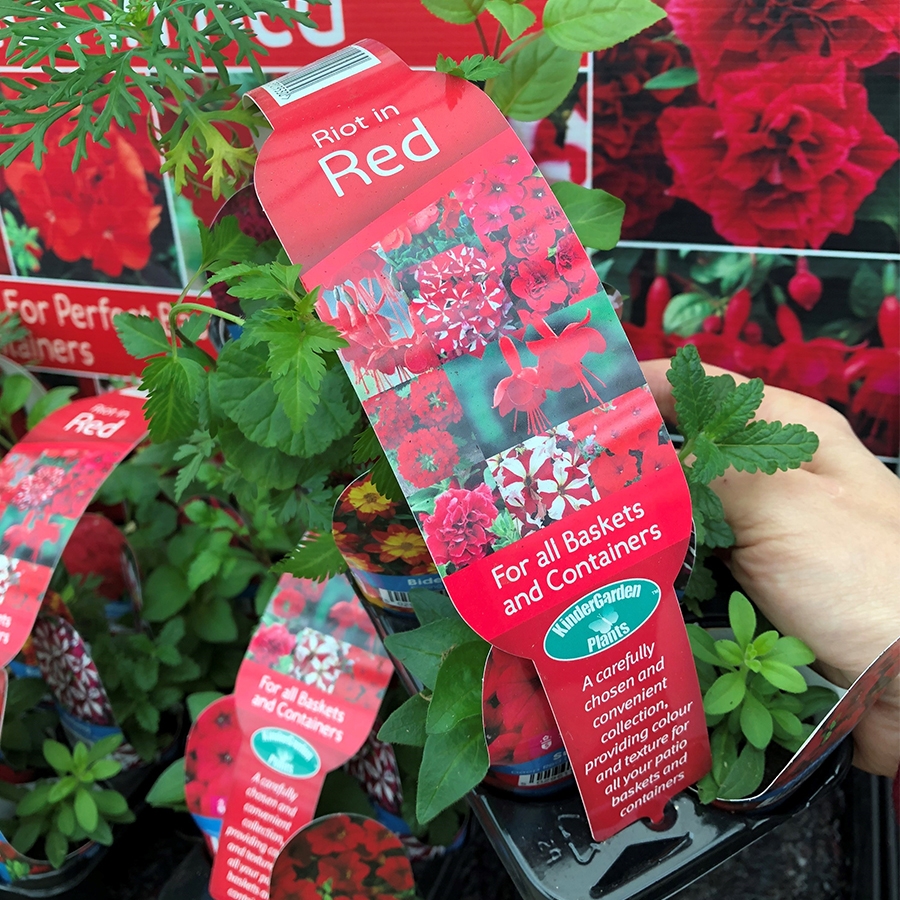 Mini Starter Collection Pack - Riot in Red - Knights Garden Centres