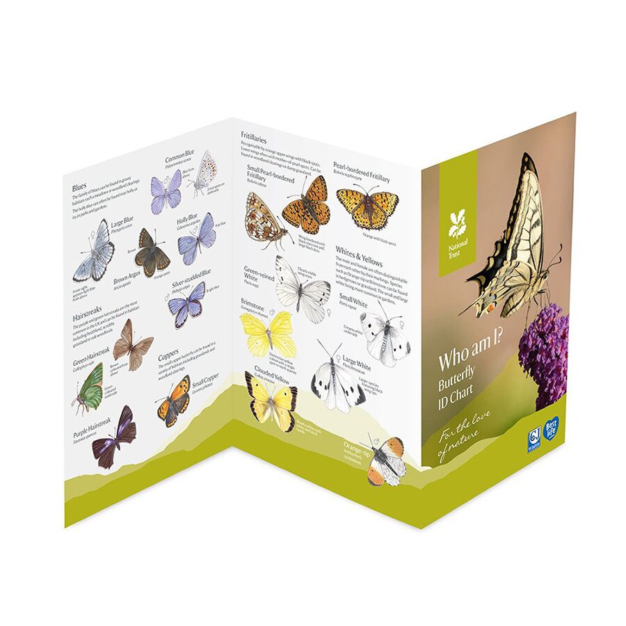 National Trust Butterfly ID Chart - Knights Garden Centres