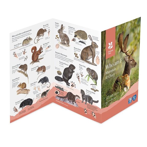 National Trust Mammal ID Chart - Knights Garden Centres