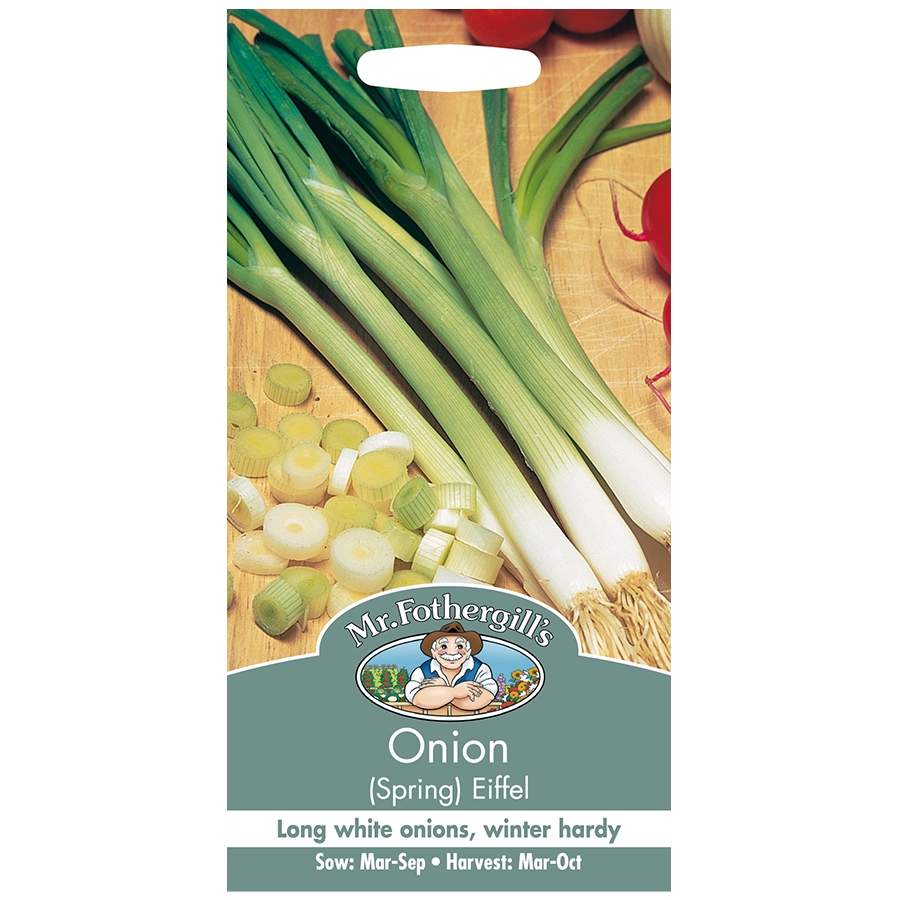 Onion Seeds (Spring) Eiffel - Knights Garden Centres