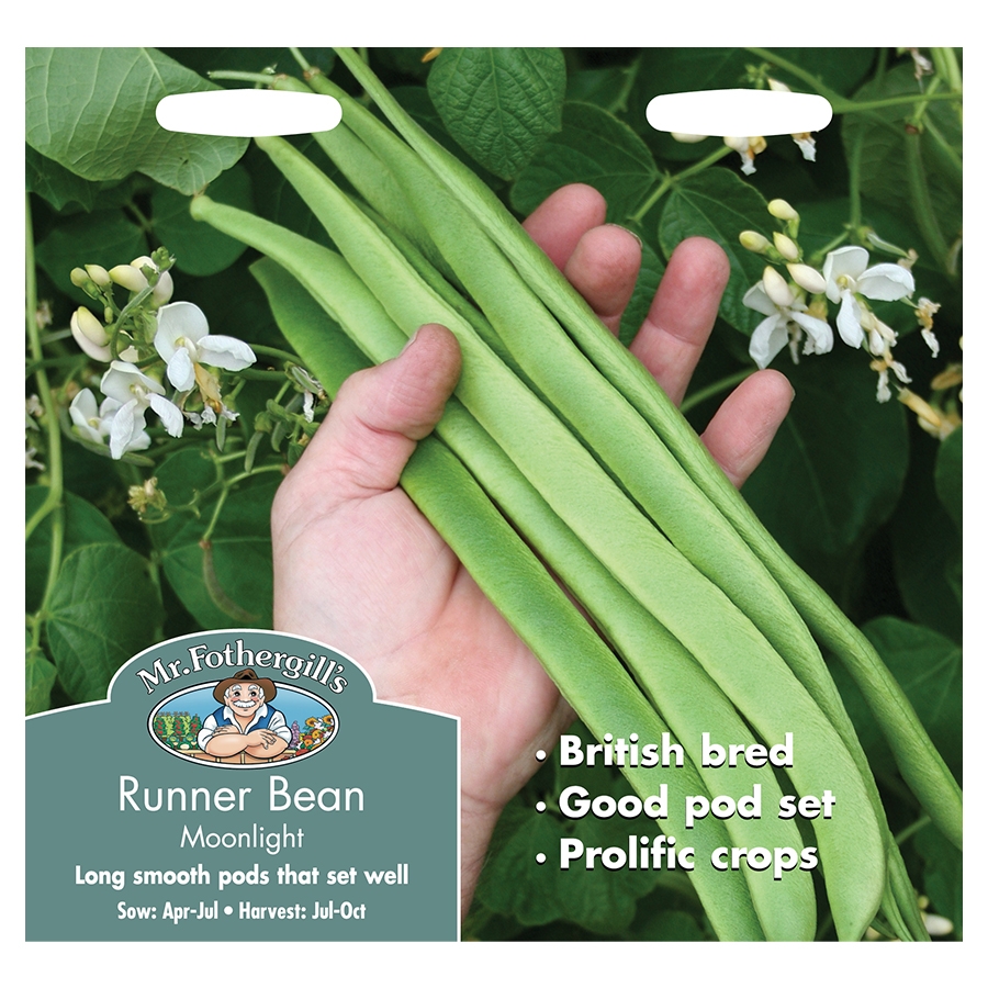 Runner Bean Seeds Moonlight - Knights Garden Centres