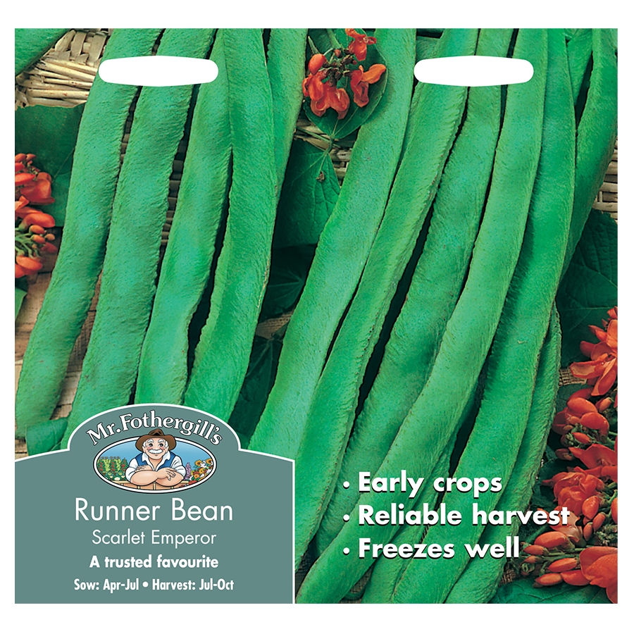 Runner Bean Seeds Scarlet Emperor - Knights Garden Centres
