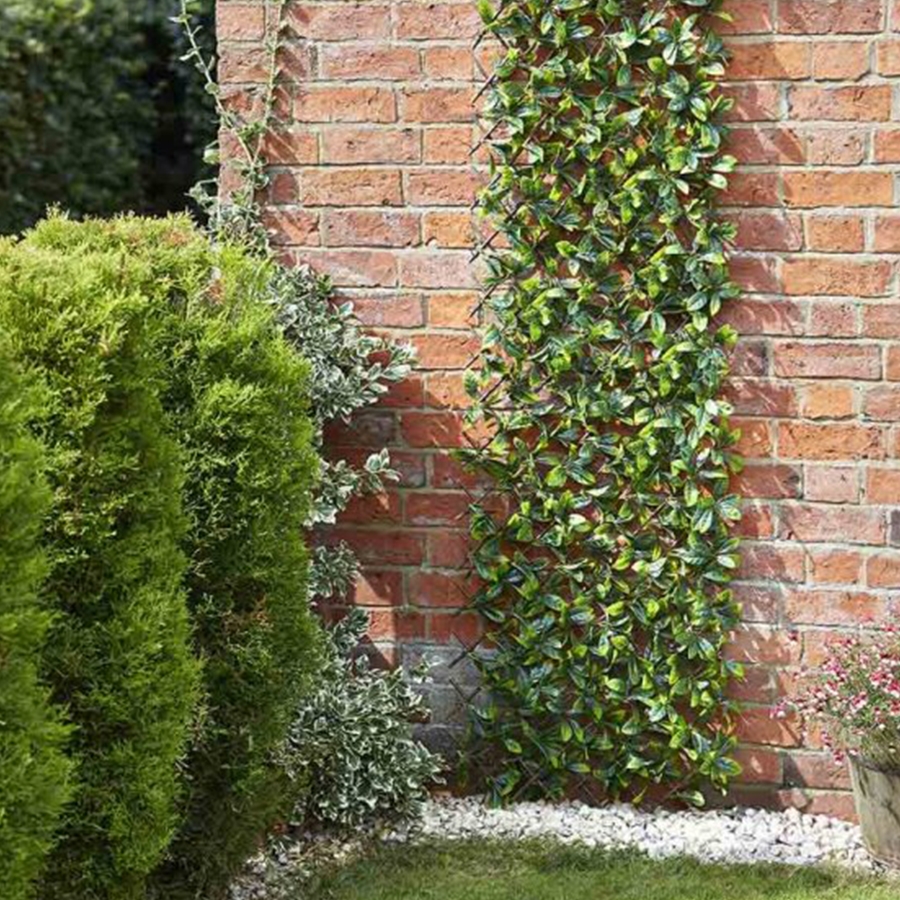 Trellis Lemon Leaf Willow 180 x 90 cm - Knights Garden Centres